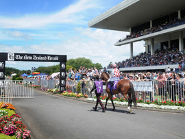 The New Zealand Herald Boxing Day Races - Hello Auckland